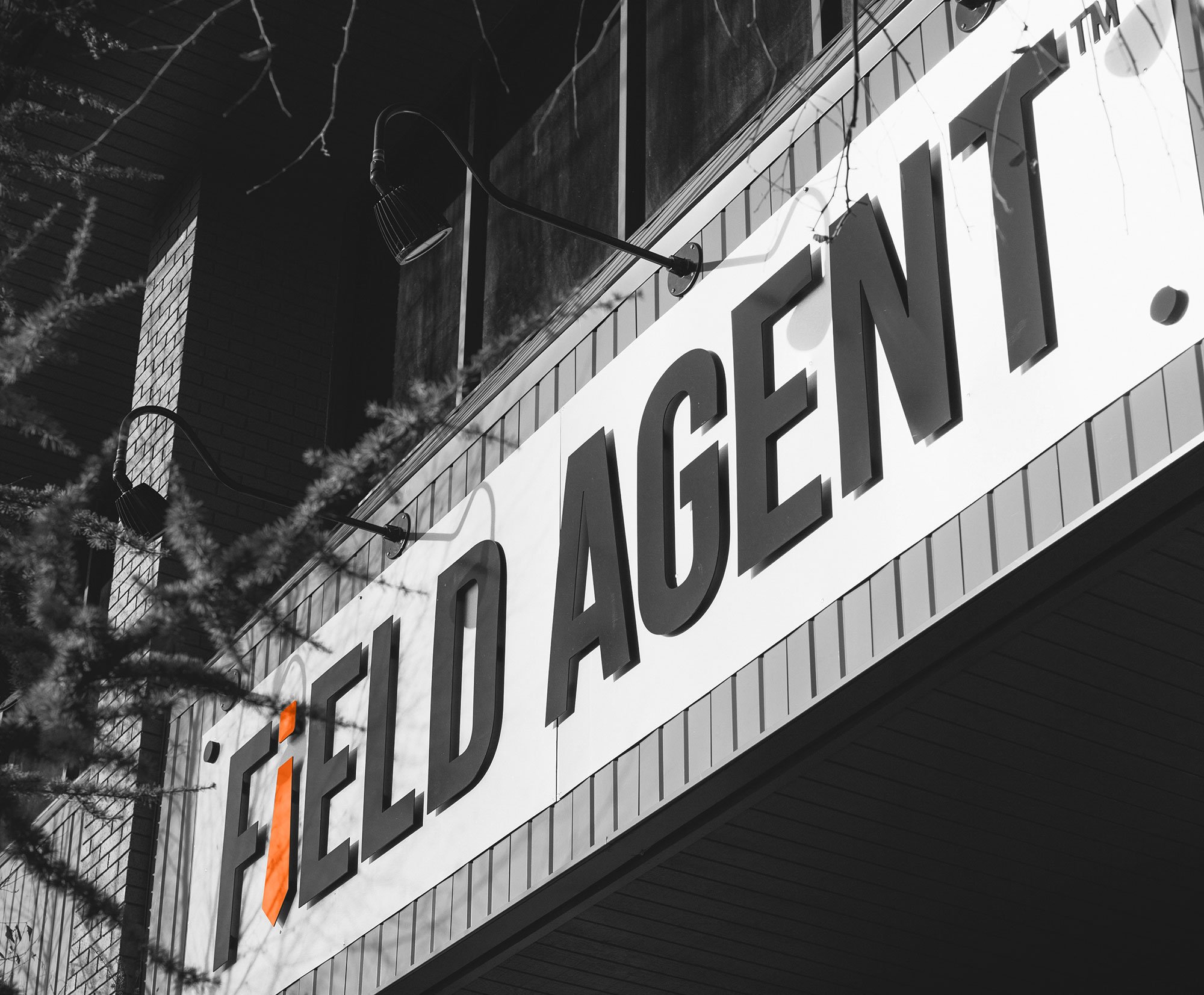 Field Agent MX Conoce nuestros servicios